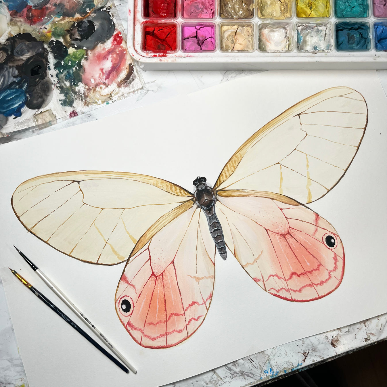Blushing Phantom Butterfly Wood Cutout Print – ystreetstudio